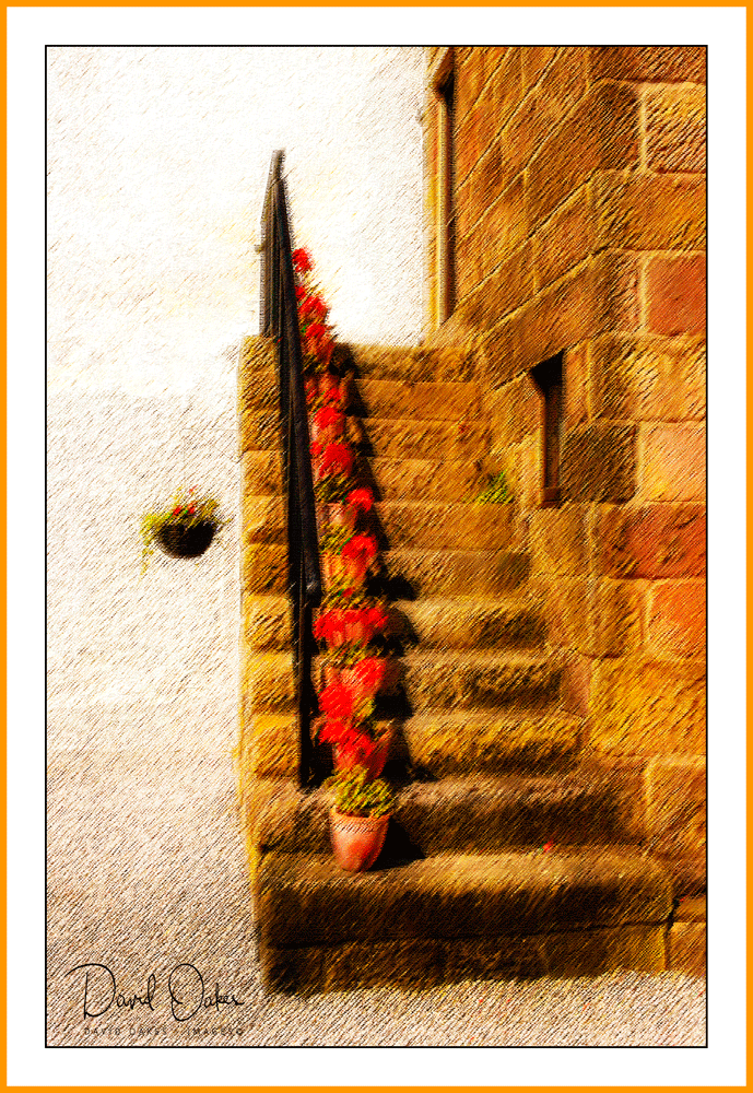 Sunny-Steps – DAVID OAKES – IMAGES.