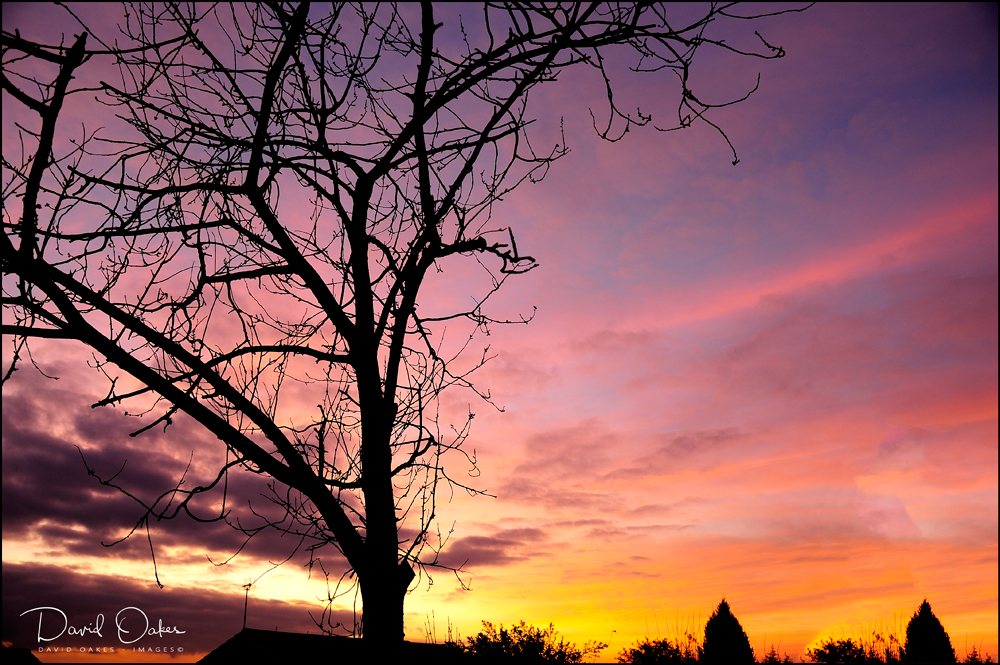 Red Sky in the Morning Shepherds Warning….. – DAVID OAKES – IMAGES.