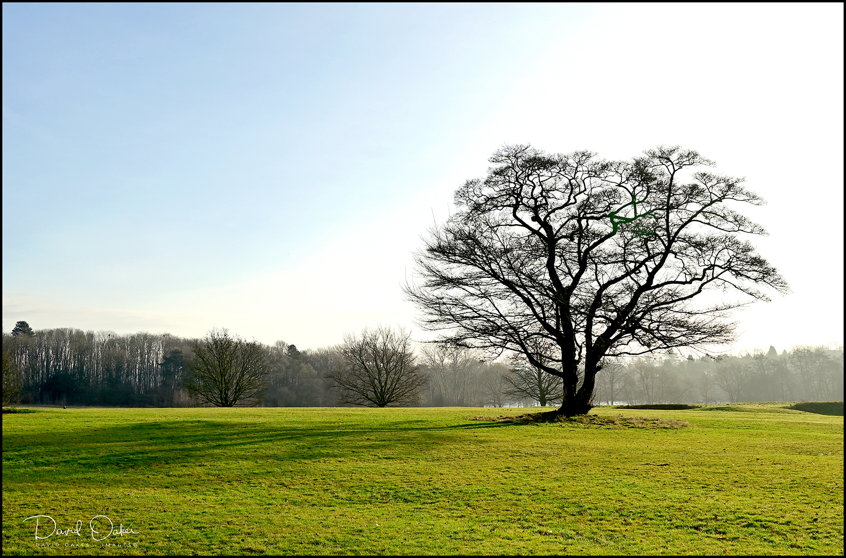 Now this is a better day…… Wednesday is alright – DAVID OAKES – IMAGES.