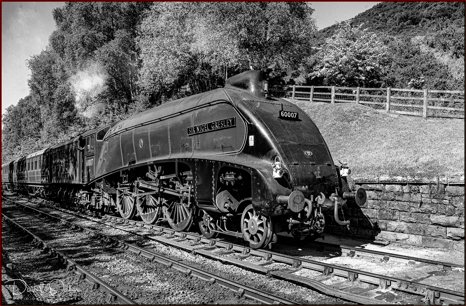 Sir-Nigel – DAVID OAKES – IMAGES.