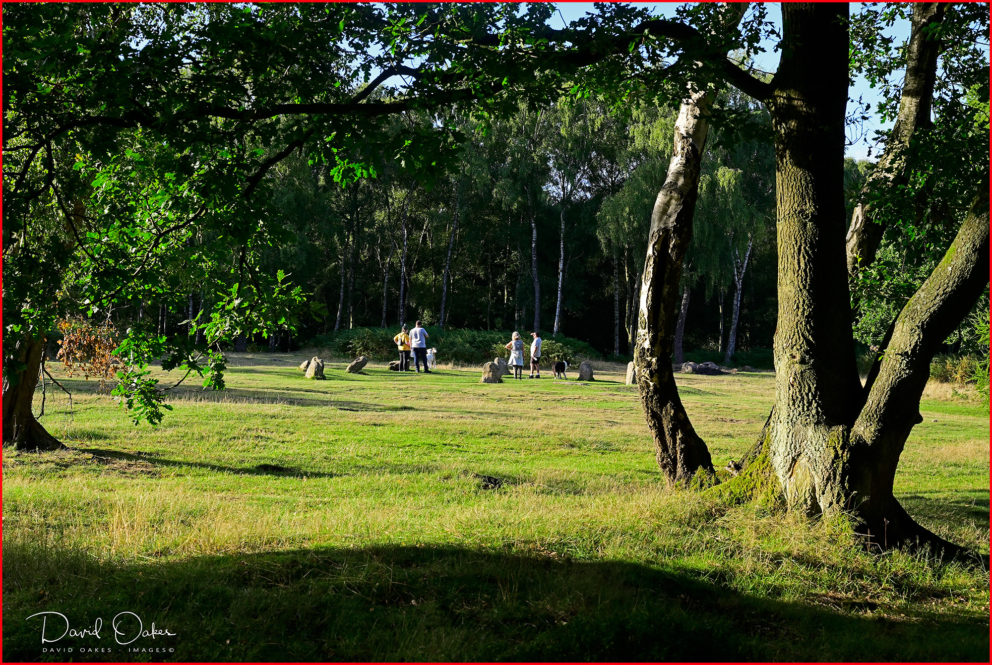 _DOI7618_00028qqq – DAVID OAKES – IMAGES.